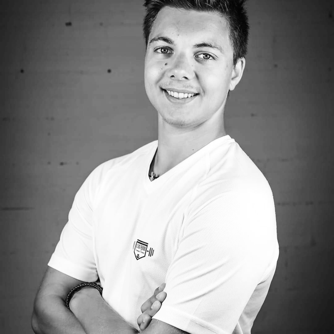 Alexis Ferron - La Vague Normande